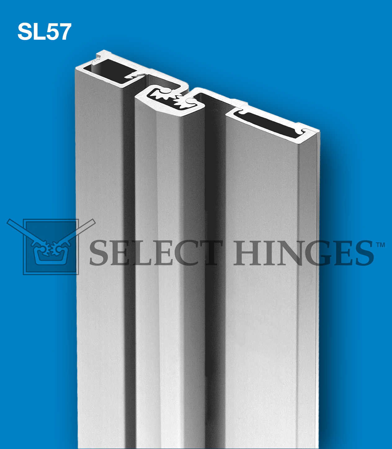 Select Geared Continuous Hinge Full Surface - ACCESS HARDWARE
